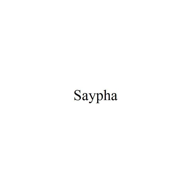 BATCH OF 10 SAYPHA VOLUME (1x1ml) CROMA